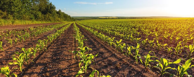 Custom Labeling Biological Products, White Labeling Agricultural Industry